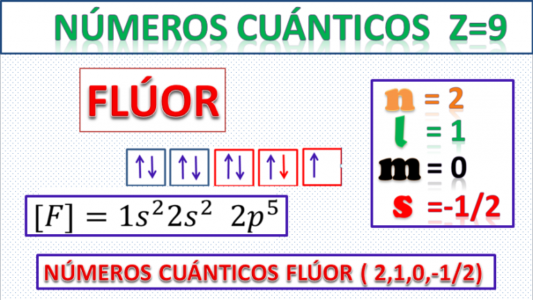 Flúor - F - Profe Arantxa